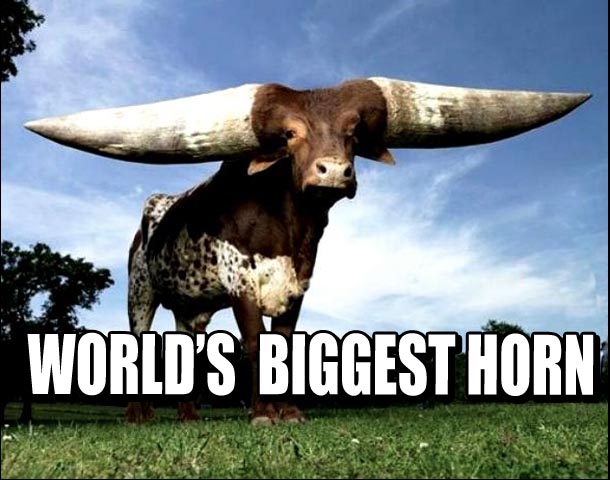 WORLD'S BIGGEST HORN - Weekly World News