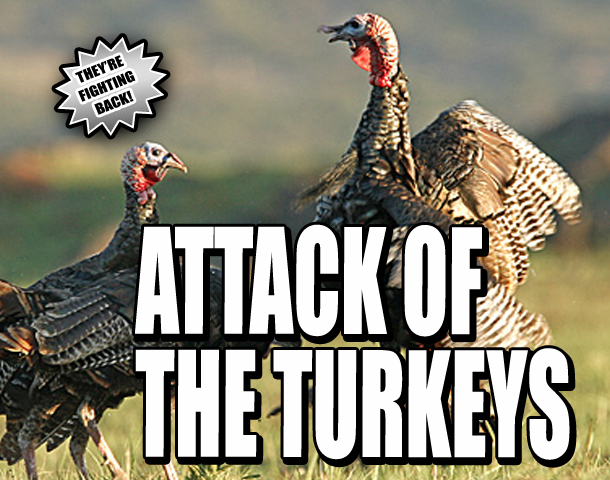 ATTACK OF THE TURKEYS! - Weekly World News