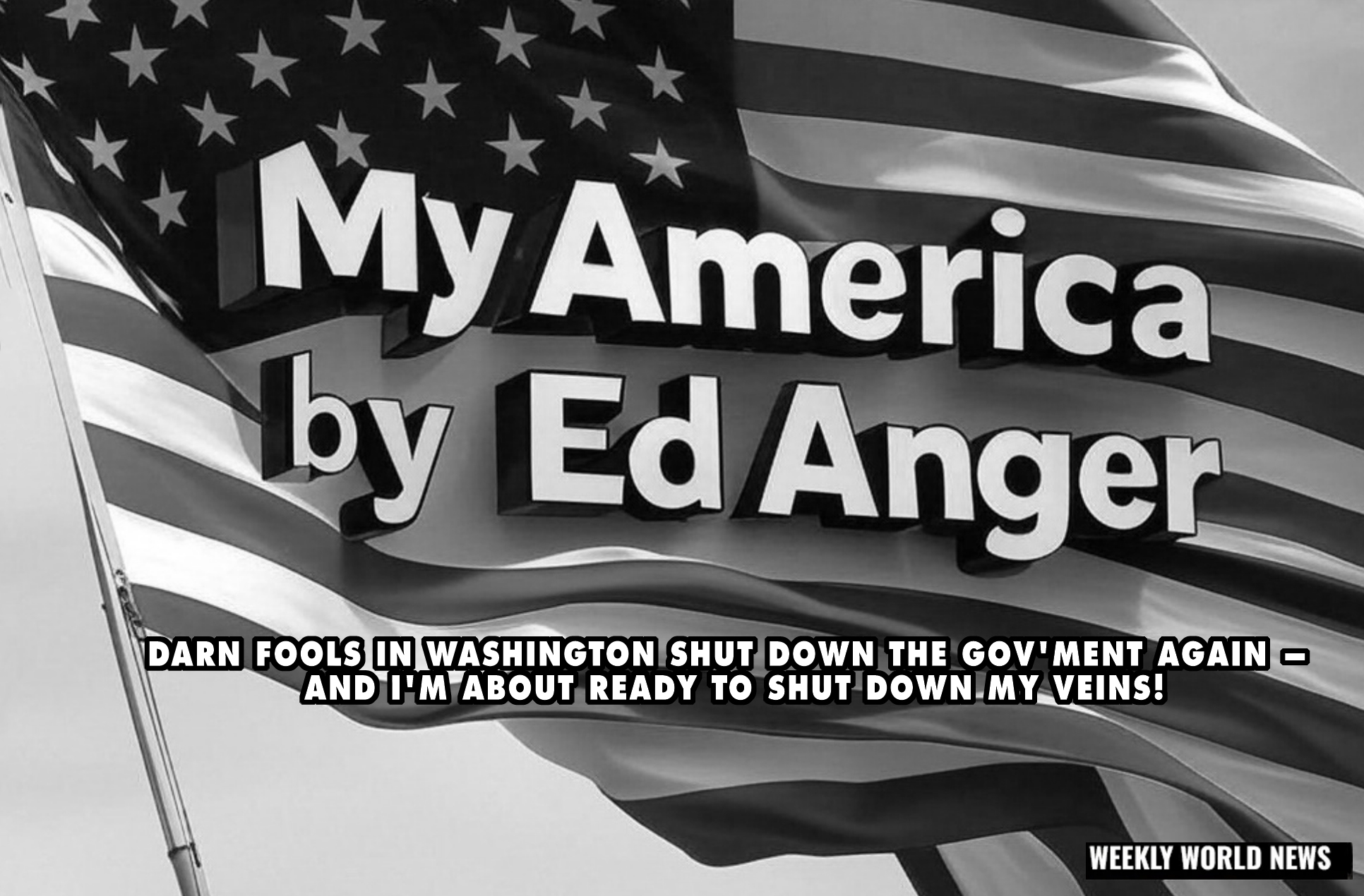 DARN FOOLS IN WASHINGTON SHUT DOWN THE GOV'MENT AGAIN — AND I'M ABOUT ...